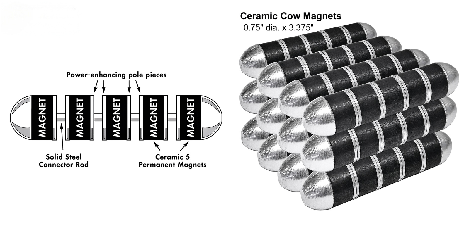 Cow Magnets – Prevent Hardware Disease in Cattle